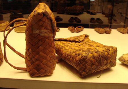 From Finland to the forests: THE STORY and the legacy of the Forest ...